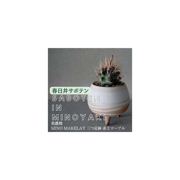 ■ 容量　植木鉢：多治見市産　サボテン：春日井市産　　ビン・ワレモノ　■鉢　サイズ：径9.5（口元）〜11（一番大きいところ）×高11.5cm　※手作りのため大きさには個体差があります。　■サボテン　※植え込みのサボテンは季節ごとのセレクト...