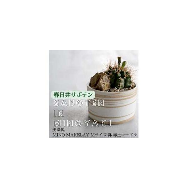 ■ 容量　植木鉢：多治見市産　サボテン：春日井市産　　ビン・ワレモノ　■鉢　サイズ：径12.3×高8.4cm　※手作りのため大きさには個体差があります。　■サボテン　※植え込みのサボテンは季節ごとのセレクトとなりますので画像と異なる場合がご...