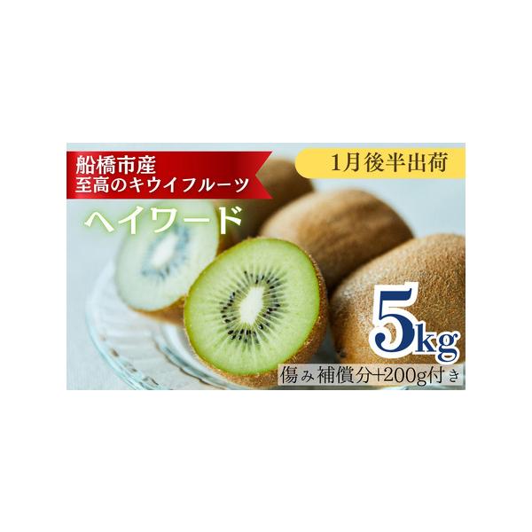 ■ 容量　緑色系キウイフルーツ（品種名：ヘイワード）5.0kgに、傷み補償分として約200ｇ追加　計約5.2kg　　1玉　90〜200gのキウイフルーツが約35〜50個前後入り。　（生育状況により果実の大きさが変わりますので箱の中に入る果実...