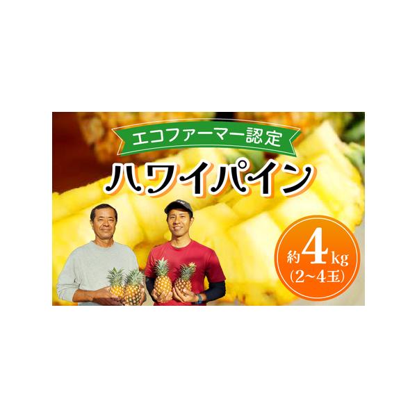 ■ 容量　ハワイパイン約4kg（2〜4個入り）■ 配送について　6月中旬〜7月下旬に発送いたします。　タイプ：【常温】
