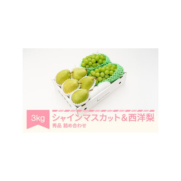 ■ 容量　シャインマスカット2~3房、西洋梨3~6玉　※シャインマスカット・西洋梨を合わせて3kg相当をお届けするため、1.5kgずつとならないことをご了承ください。■ 配送について　9月上旬~9月下旬頃　※生育の状況により多少前後すること...