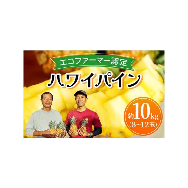 ■ 容量　ハワイパイン約10kg（8〜12個入り）■ 配送について　6月中旬〜7月下旬にお届けいたします。　タイプ：【常温】