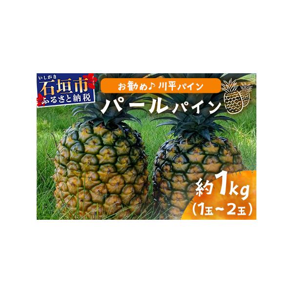 ■ 容量　1玉700g以上　1〜2玉　合計1kg以上　　■消費期限■　お手元に到着後、冷蔵保存で約1週間程度。　※パイナップルは追熟しない為、到着後はお早めにお召し上がりください。　■ 配送について　2025年7月〜8月頃に順次発送いたしま...