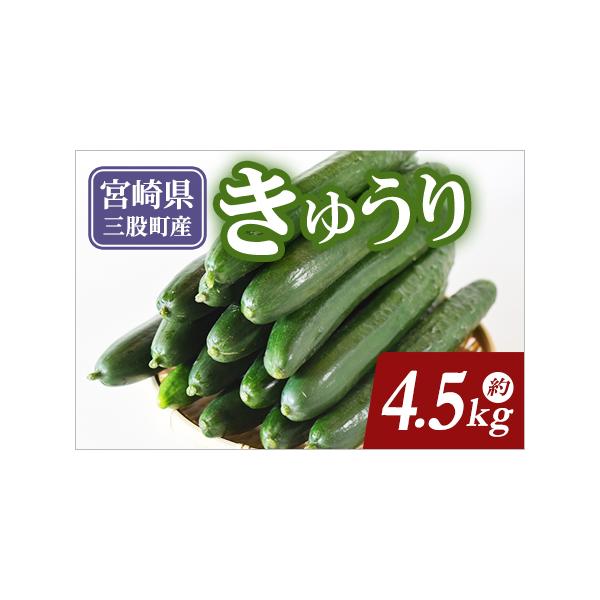 ■ 容量　約4.5kg　▼賞味もしくは消費期限　常温で一週間■ 配送について　入金確認後、2ヶ月以内に発送　※年末年始(12月〜1月頃)のご寄附については、3ヶ月ほどいただく場合がございます。　タイプ：【常温】