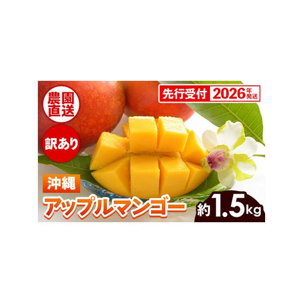 ■ 容量　アップルマンゴー【訳あり】約1.5kg（3〜6玉)　※玉数の指定はできません。　※数に限りがございます。申込数が予定数に達し次第締め切らせて頂きます。　　アレルギー：ウルシ科■ 配送について　2026年6月中旬〜7月末頃を予定　タ...