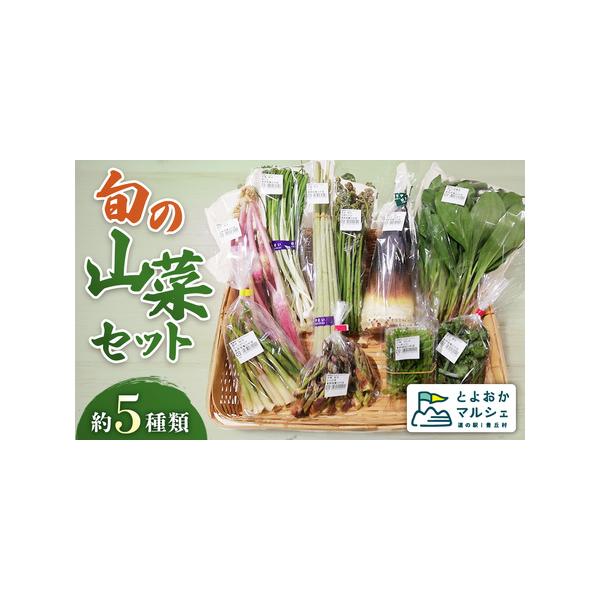 ■ 容量　山菜　5種類程度■ 配送について　2026年4月上旬〜4月下旬　※その年の気候により配送時期に変動がある可能性がございます。　※この期間に長期ご不在がある方はご注文をお控えください。　タイプ：【冷蔵】
