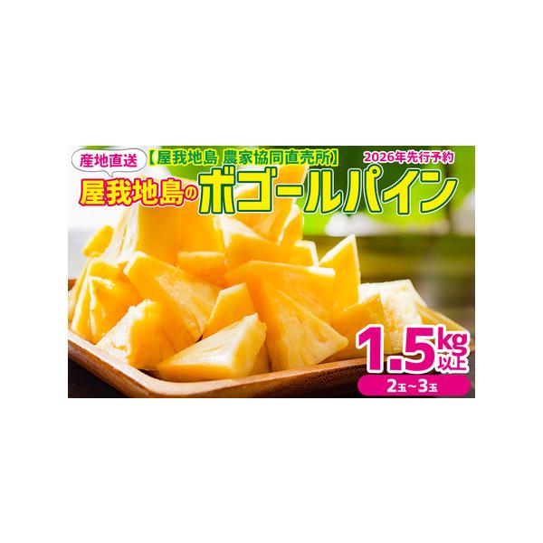 ■ 容量　名護市屋我地島産　ボゴールパイン　1.5kg以上（2〜3玉）　　※複数の農家からランダムに選び発送します。　※農家のご指定はできませんのでご了承ください。■ 配送について　2026年6月中旬〜7月下旬頃　タイプ：【冷蔵】