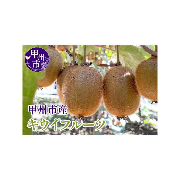 ■ 容量　キウイフルーツ 約1kg（12個程度）　　【申込期日】　2026年12月下旬頃まで　【消費期限】　到着次第、お早めにお召し上がりください。　【アレルギー品目】　キウイフルーツ　　【注意事項】　※上記注意事項を必ずご確認ください。　...