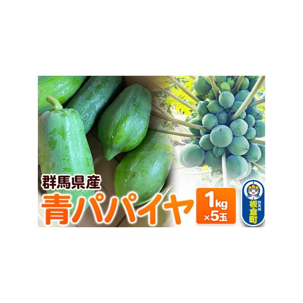 ■ 容量　■名称：青パパイヤ　■内容量：1kg×5玉　■賞味期限：到着後、概ね2週間　■保存方法：新聞紙などにくるみ、乾燥しないようビニール袋などに入れて冷暗所におきます。　気温が高い場合はその状態で冷蔵庫の野菜室での保存がおすすめ。 　2...