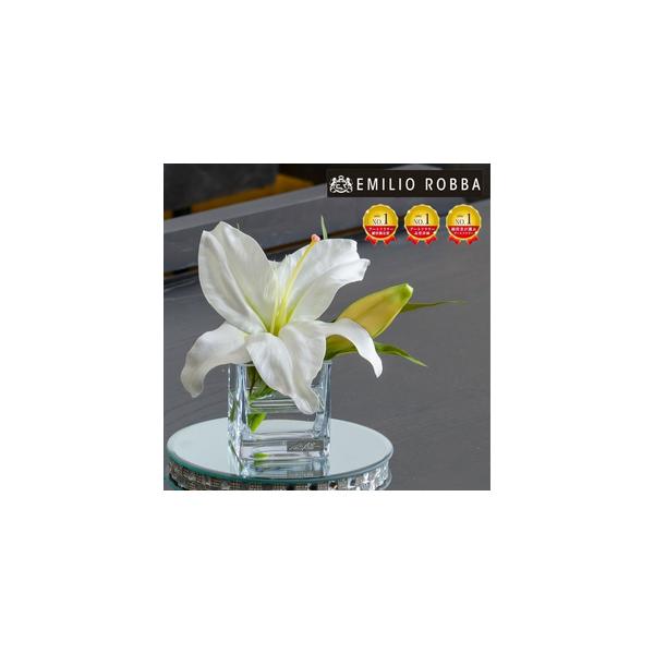 ■ 容量　カサブランカM-1 TTNTS-91100　1個：横幅 24cm×奥行 22cm×高さ 23cm（※多少の誤差はございます）　　タイプ：【常温】