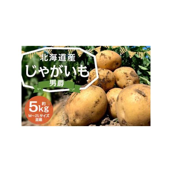 ■ 容量　M〜2Lサイズ混載 約5kg×1箱　※個数・サイズのご指定はできません。■ 配送について　2025年9月下旬〜2026年3月上旬迄発送予定　タイプ：【常温】