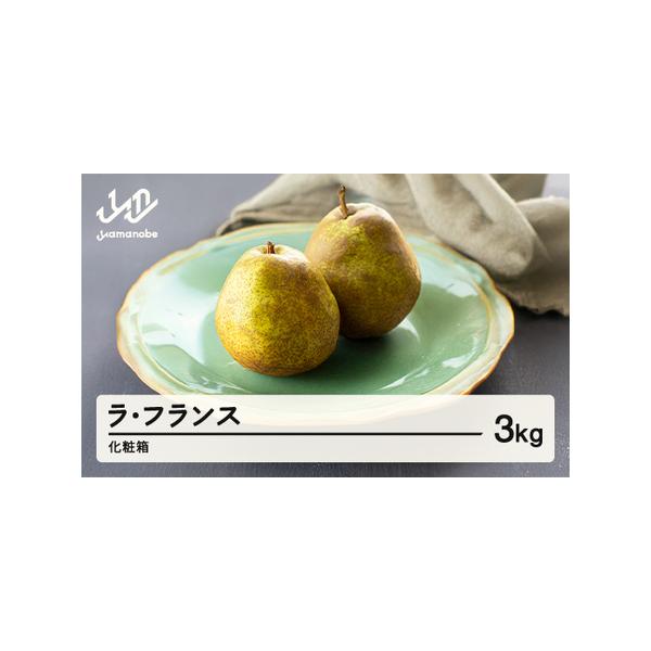 ■ 容量　ラフランス 3kg（6-11玉）■ 配送について　11月上旬〜12月下旬　（生育の状況により多少前後することがあります）　タイプ：【常温】