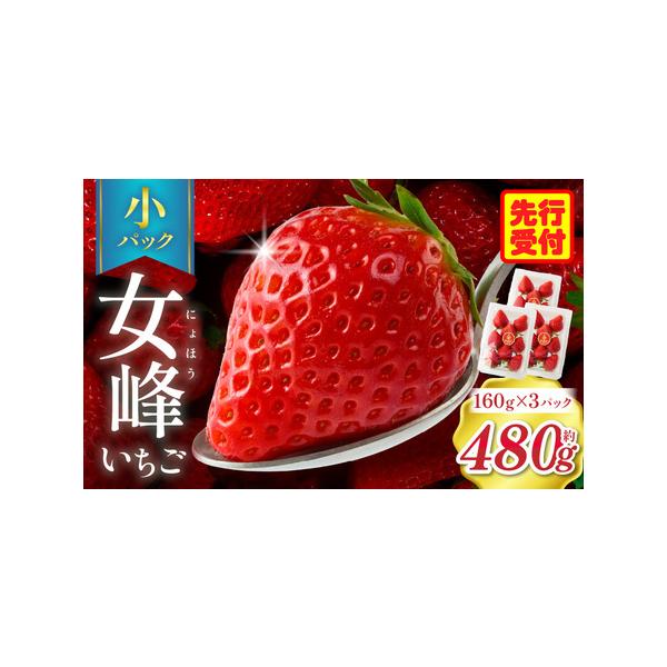 ■ 容量　女峰いちご　小パック160ｇ×3パック■ 配送について　2025年1月上旬〜　タイプ：【冷蔵】
