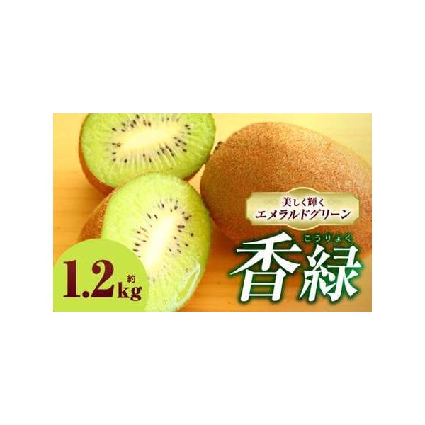 ■ 容量　キウイフルーツ(香緑) 1.2kg■ 配送について　11月中旬〜12月中旬頃 　※一部離島にはクール便でのお届けが出来ませんのでご注意ください。 　※12月以降お申し込みいただいた場合には来季のお届けとなることがございます。青果物...