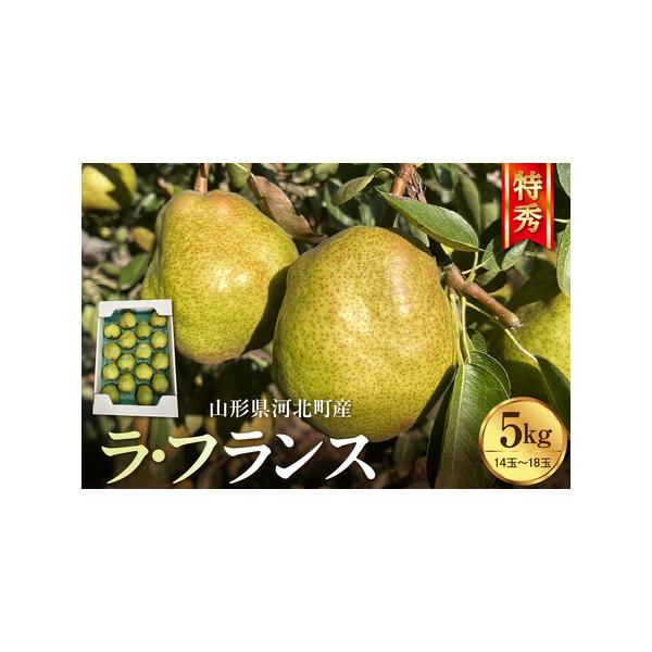 ■ 容量　【内容量】　山形県河北町産 ラ・フランス 特秀 約5kg（14玉〜18玉）　　【賞味期限】　別途用紙に記載　※ラ・フランスは追熟が必要です。軸の周りを指で押してやわらかくなった時が食べごろです。　　【提供事業者】　河北町観光物産協...