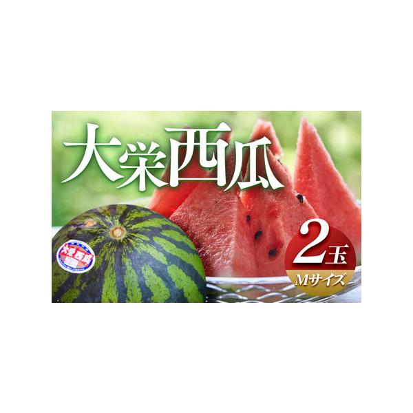 ■ 容量　2玉　※1玉５Kg以上　【賞味期限】　生鮮食品ですのでなるべくお早めにお召し上がりください。■ 配送について　2026年6月中旬〜7月上旬頃に順次発送予定　【受付期間】　〜2026年7月5日　タイプ：【常温】