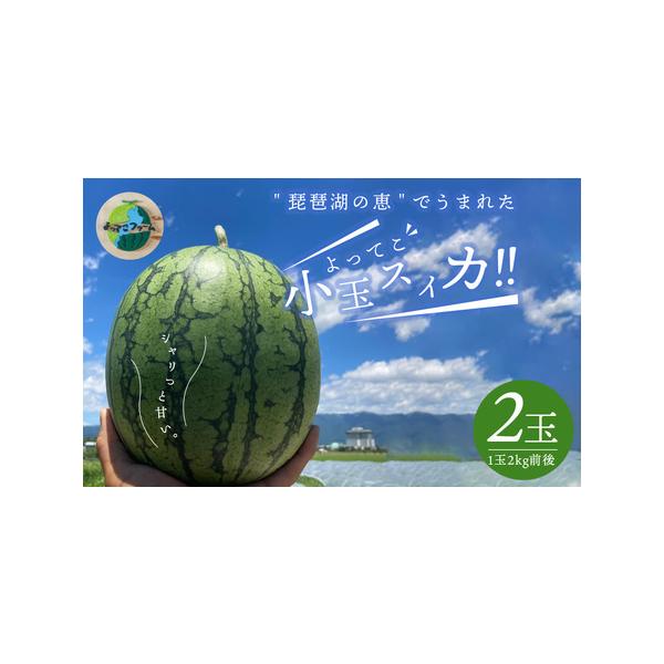 ■ 容量　1箱2玉（1玉2kg前後）■ 配送について　2026年6月?8月初旬お届け予定　タイプ：【常温】