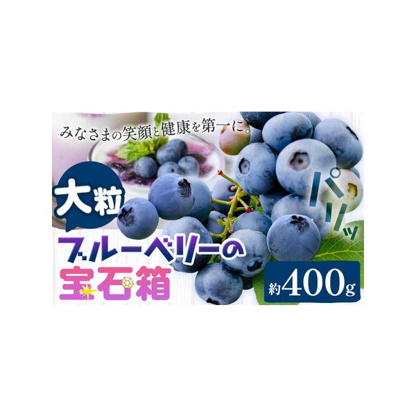 ■ 容量　計400g(100g×4パック)■ 配送について　2026年6月上旬-8月下旬頃出荷　タイプ：【冷蔵】