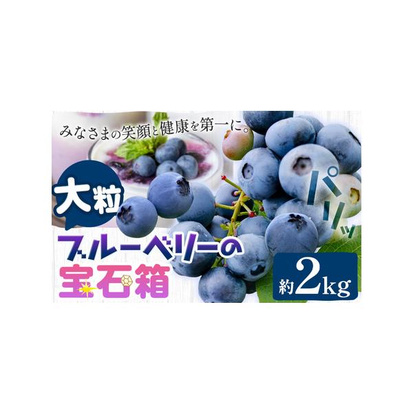 ■ 容量　計2kg(500g×4パック)■ 配送について　2026年6月上旬-8月下旬頃出荷　タイプ：【冷蔵】
