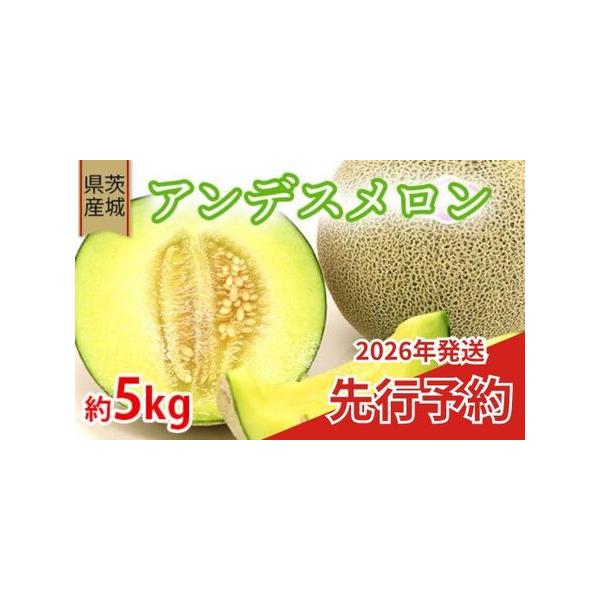 ■ 容量　約5kg（3〜5玉）■ 配送について　2026年5月中旬から順次発送　タイプ：【常温】