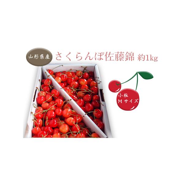 ■ 容量　M玉・約1kgバラ詰め■ 配送について　2026年06月中旬〜下旬頃にかけて、寄付受付順に発送　タイプ：【冷蔵】