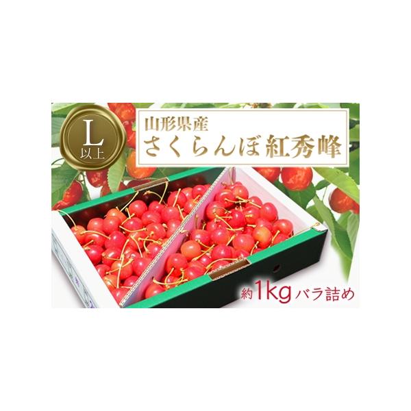 ■ 容量　L玉以上・約1kgバラ詰■ 配送について　2026年06月下旬〜07月上旬頃にかけて、寄付受付順に発送　タイプ：【冷蔵】