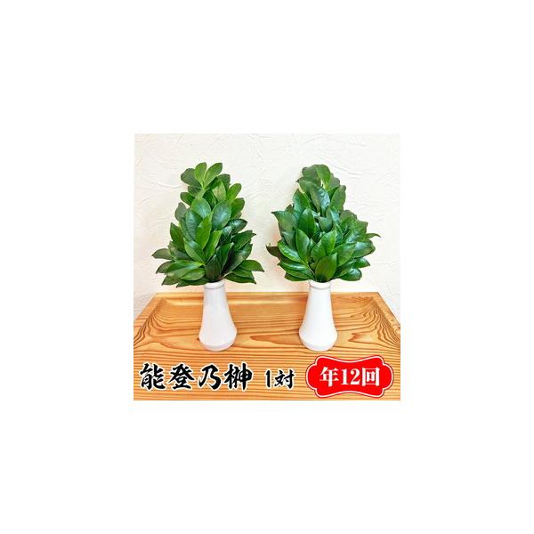 ■ 容量　榊1対　年12回（1年間定期配送）■ 配送について　寄附翌月の月末に発送予定　タイプ：【常温】【定期】