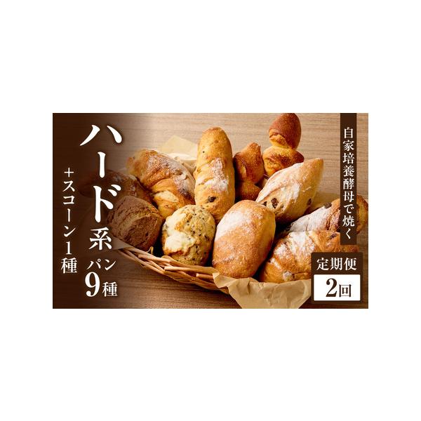 ■ 容量　10種各1点ずつ合計10点×全2回お届け　　ベーコンエピ　カンパーニュ レザン　リュスティック　自家製ベーコンとクリームチーズ　クランベリー　黒ごま＆チーズ　胡桃とイチジク　アーモンドショコラ　クランベリー＆フロマージュ　酵母スコ...