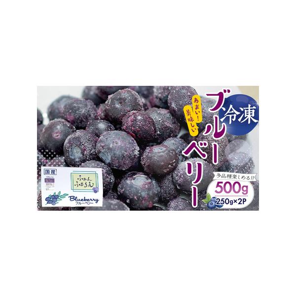 ■ 容量　冷凍ブルーベリー　500g （250ｇ×2袋）■ 配送について　2025年7月中旬から12月中旬にかけて、お申込み受付順に発送開始。　発送開始後は、入金確認より2週間前後で発送。　※最終発送：2026年3月下旬予定　　※クール便対...