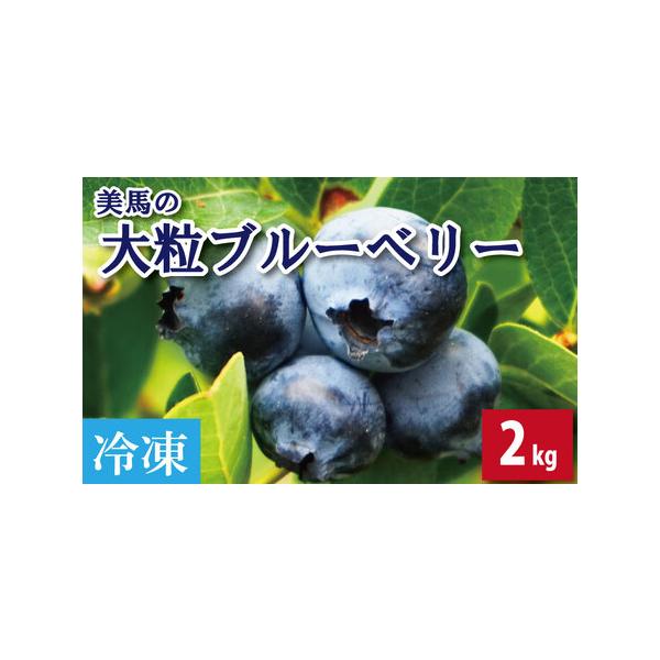 ■ 容量　冷凍で約2kg■ 配送について　入金確認後2週間から1ヶ月程度で順次発送12月中旬以降の寄附受付分に関しては、１月以降の出荷となります。予めご了承ください。　タイプ：【冷凍】