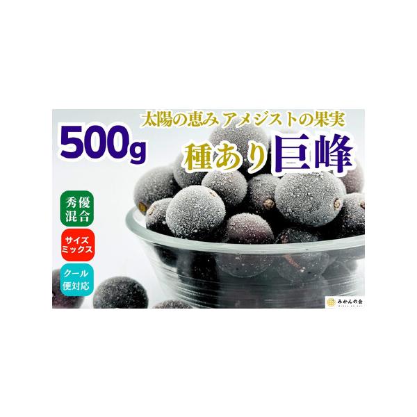 ■ 容量　冷凍 種あり巨峰 約500g 秀優混合 サイズミックス　【賞味期限】　2027年9月　お早目にお召し上がりください。　【アレルギー】　柑橘を扱う場内で作業を行っております　※ 表示内容に関しては各事業者の指定に基づき掲載しており、...