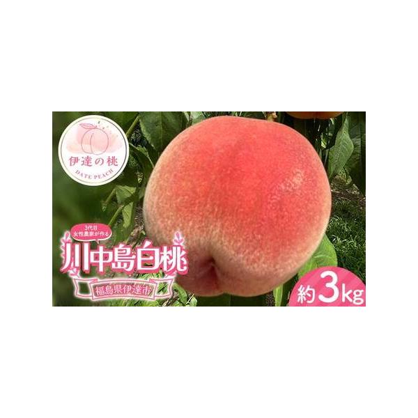 ■ 容量　【容量】　川中島白桃 約3kg (8〜12玉)　※収穫状況により発送時期が前後するため、前もって発送日を確定しにくい状況について何卒ご理解いただければ幸いです。　※沖縄・離島へのお届けはできかねます。　※桃はとてもデリケートな果物...
