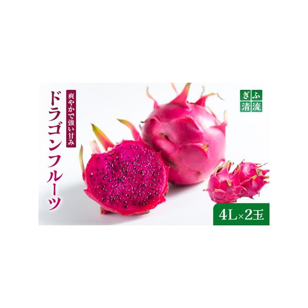 ■ 容量　4Lサイズ×2個　原産地：瑞穂市　化粧箱入■ 配送について　2026年6月中旬〜7月下旬頃に順次発送予定　タイプ：【常温】