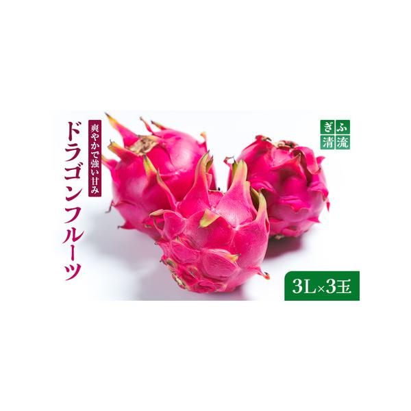 ■ 容量　3Lサイズ×3個　原産地：瑞穂市　化粧箱入■ 配送について　2026年6月中旬〜7月下旬頃に順次発送予定　タイプ：【常温】