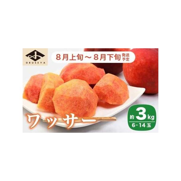 ■ 容量　ワッサー 約3kg（6〜14玉）■ 配送について　2026年8月上旬〜8月下旬予定　※天候や収穫状況により、お届けや規格が変更になる場合がございます。　タイプ：【冷蔵】