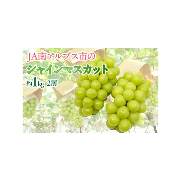 ■ 容量　シャインマスカット 2房 約1kg  （1房あたり約450g?550g×2房）　※天候不順により房数のバラ付きがある場合があります。■ 配送について　2026年9月上旬から10月上旬配送予定　　！！必ずお読みください！！　★以下の...