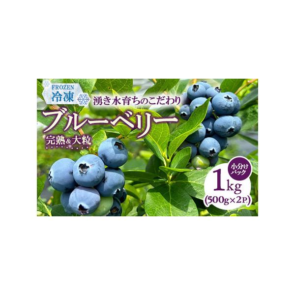 ■ 容量　合計1kg（500g×2パック）■ 配送について　2026年6月下旬より順次発送予定　タイプ：【冷凍】