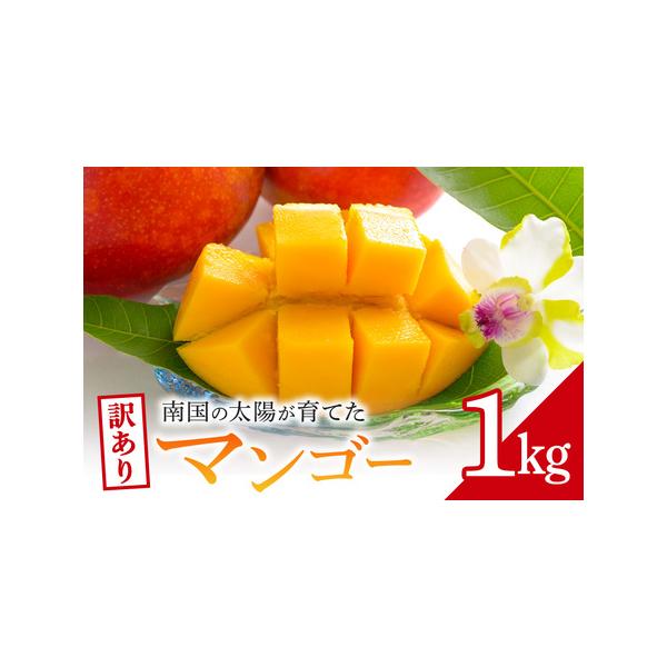 ■ 容量　マンゴー　約1kg　　賞味期限：発送から7日■ 配送について　入金確認後、6月中旬から7月下旬まで順次発送予定となります。　タイプ：【冷蔵】