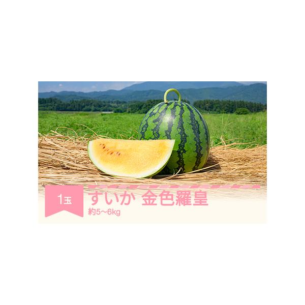 ■ 容量　1玉（5~6kg)・秀品■ 配送について　7月中旬~8月中旬　※生育の状況により多少前後することがあります　タイプ：【常温】