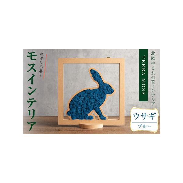 ■ 容量　モスインテリア「ウサギ」：1個　■サイズ：横200mm・高さ200mm・幅15mm　　★こちらのページからは　　「ブルー」の申込ができます。■ 配送について　入金確認後、1ヶ月以内に発送　※配送日はご指定いただけませんので、ご了承...