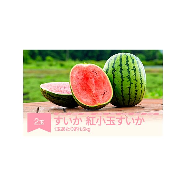 ■ 容量　2玉(各1.5kg)・秀品■ 配送について　7月中旬~7月下旬　※生育の状況により多少前後することがあります　タイプ：【常温】