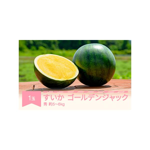 ■ 容量　1玉(5~6kg)・秀品■ 配送について　7月下旬~8月中旬頃　※生育の状況により多少前後することがあります。　タイプ：【常温】