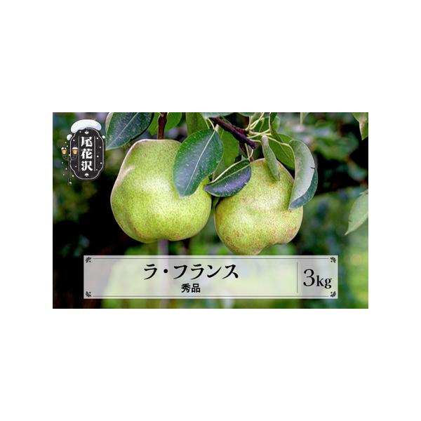 ■ 容量　西洋梨（ラ・フランス）　秀品 約3kg(6~12個程度)■ 配送について　令和8年11月中旬~12月中旬頃発送　※季節品のため配送日時指定は承っておりません。　※天候や収穫量等により発送期日が前後する場合があります。  　タイプ：...