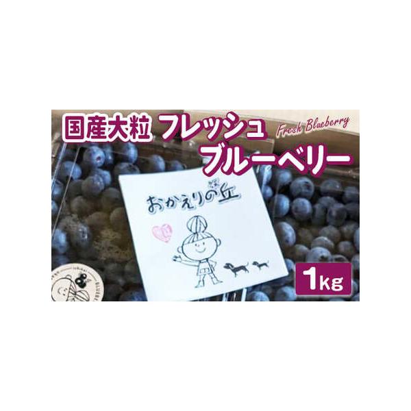 ■ 容量　500g×2パック■ 配送について　2026年6月中旬頃より順次発送　タイプ：【冷蔵】