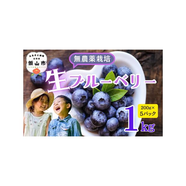 ■ 容量　《生》ブルーベリー　1kg（200g×5パック）　品種：ノーザンハイブッシュ系品種の10種類■ 配送について　2026年7月からお申し込み順に順次発送予定となります。　※気候の状況や育成状況により、発送時期が前後することがあります...