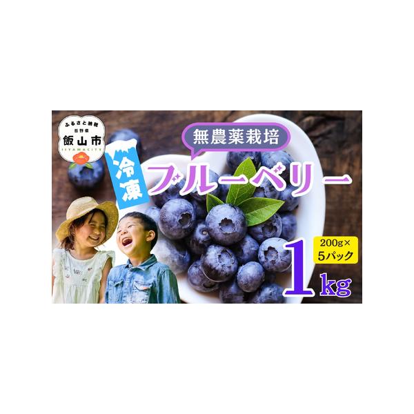 ■ 容量　《冷凍》ブルーベリー　1kg（200g×5パック）　品種：ノーザンハイブッシュ系品種の10種類■ 配送について　2026年7月からお申し込み順に順次発送予定となります。　※気候の状況や育成状況により、発送時期が前後することがありま...