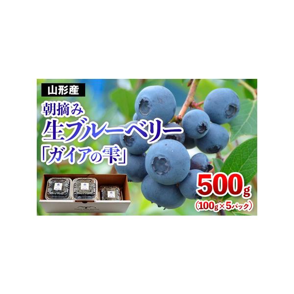 ■ 容量　【令和8年産】　山形市産 ブルーベリー 500g(100g×5パック)■ 配送について　【申込期日】2026年07月20日まで　【発送期間】2026年07月05日頃〜2026年08月05日頃　※状況により配送時期が前後する場合がご...