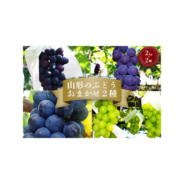 ■ 容量　約4kg（約2kg×2箱）■ 配送について　2026年9月中旬頃〜10月下旬頃にかけて、寄付受付順に発送　タイプ：【冷蔵】