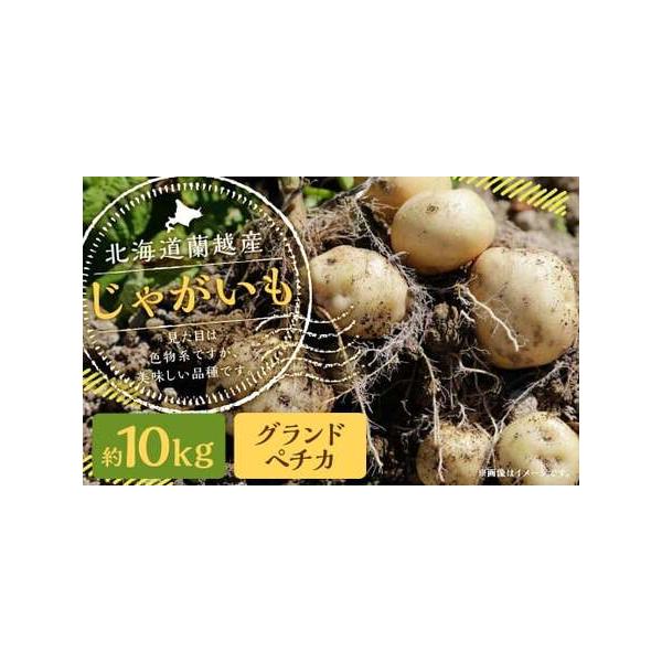 ■ 容量　じゃがいも（グランドペチカ）：約10kg■ 配送について　2025年11月下旬〜2026年4月上旬発送予定　タイプ：【常温】