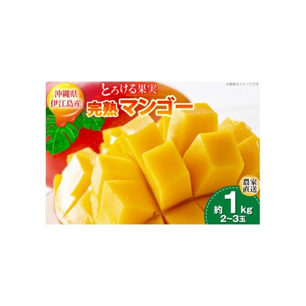 ■ 容量　伊江島産マンゴー（アーウィン種）約1kg（2?3玉）　　■賞味期限　果物で賞味期限が短いため商品到着後は冷蔵庫で冷やし、お早めに召し上がりください。　　■アレルギー　ウルシ科■ 配送について　2026年7月上旬?2026年8月上旬...